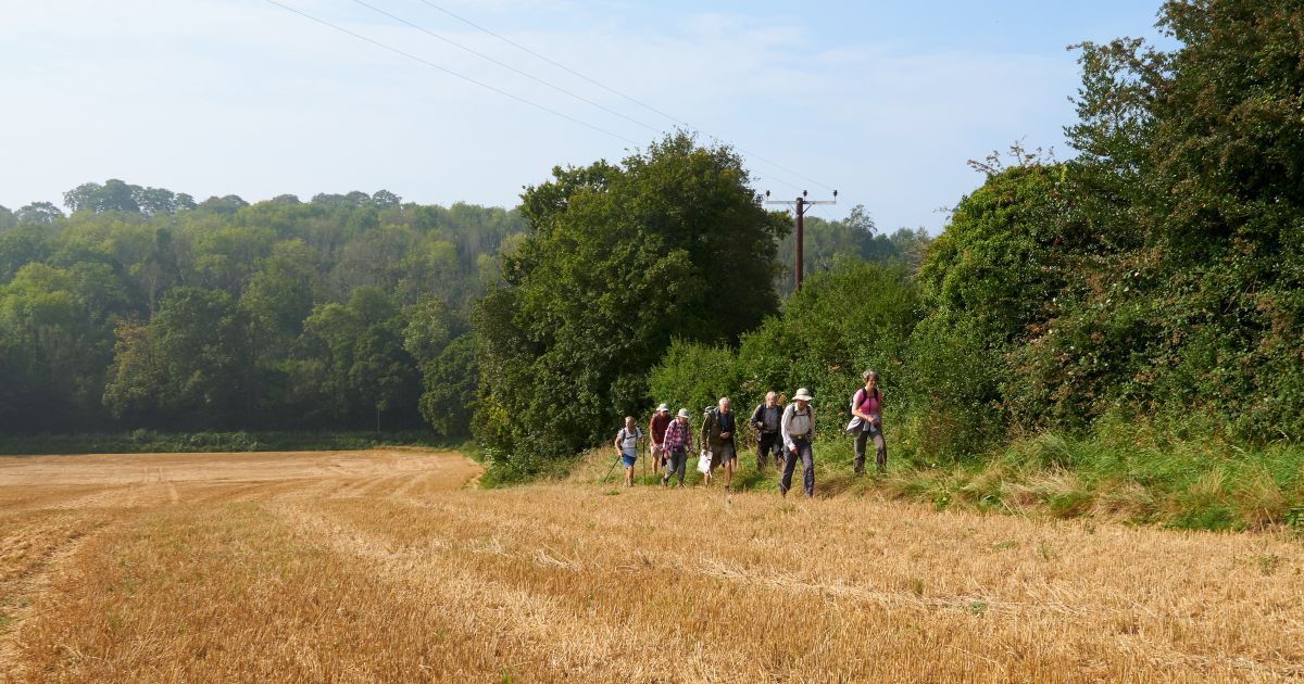 Alresford Circular - Ramblers